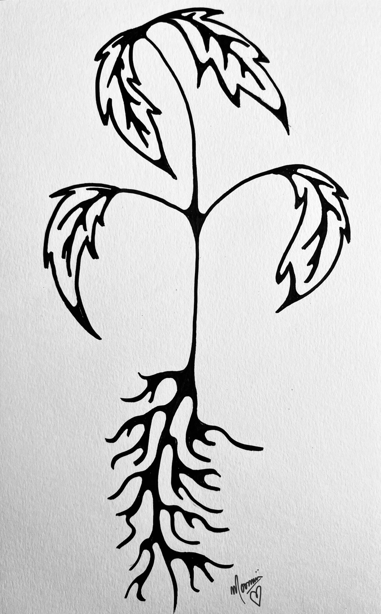 Poetry – Roots – Jacqueline Belle Poems